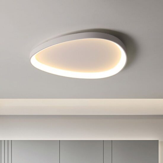 Wisdomegg Irregular Shape Ceiling Lamp – Lightingshop