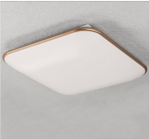 RITA Square Disk Ceiling Lamp – Lightingshop